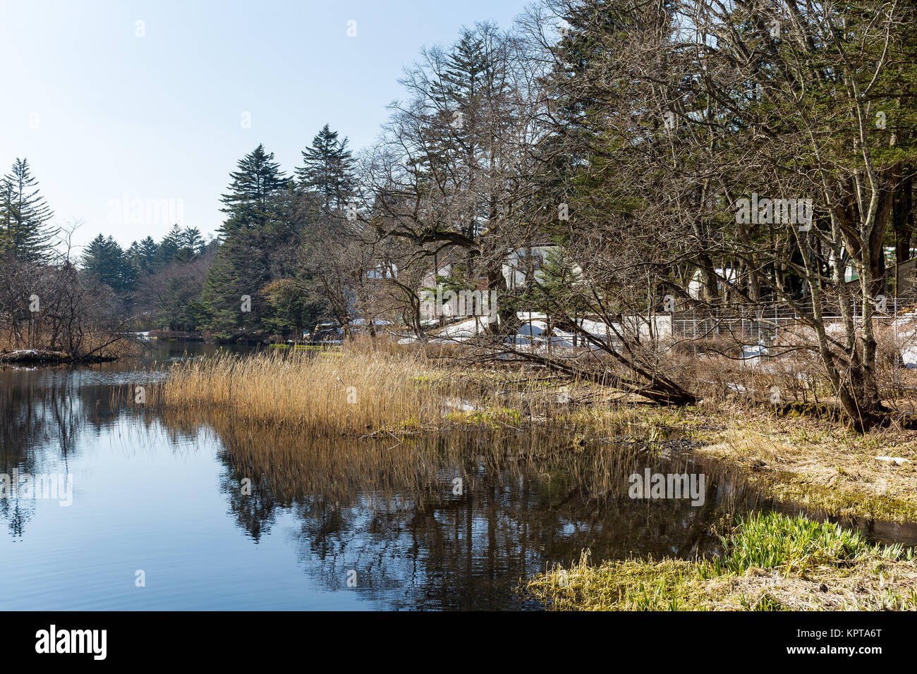 Water lake in karuizawa, Japan Stock Photo - Alamy