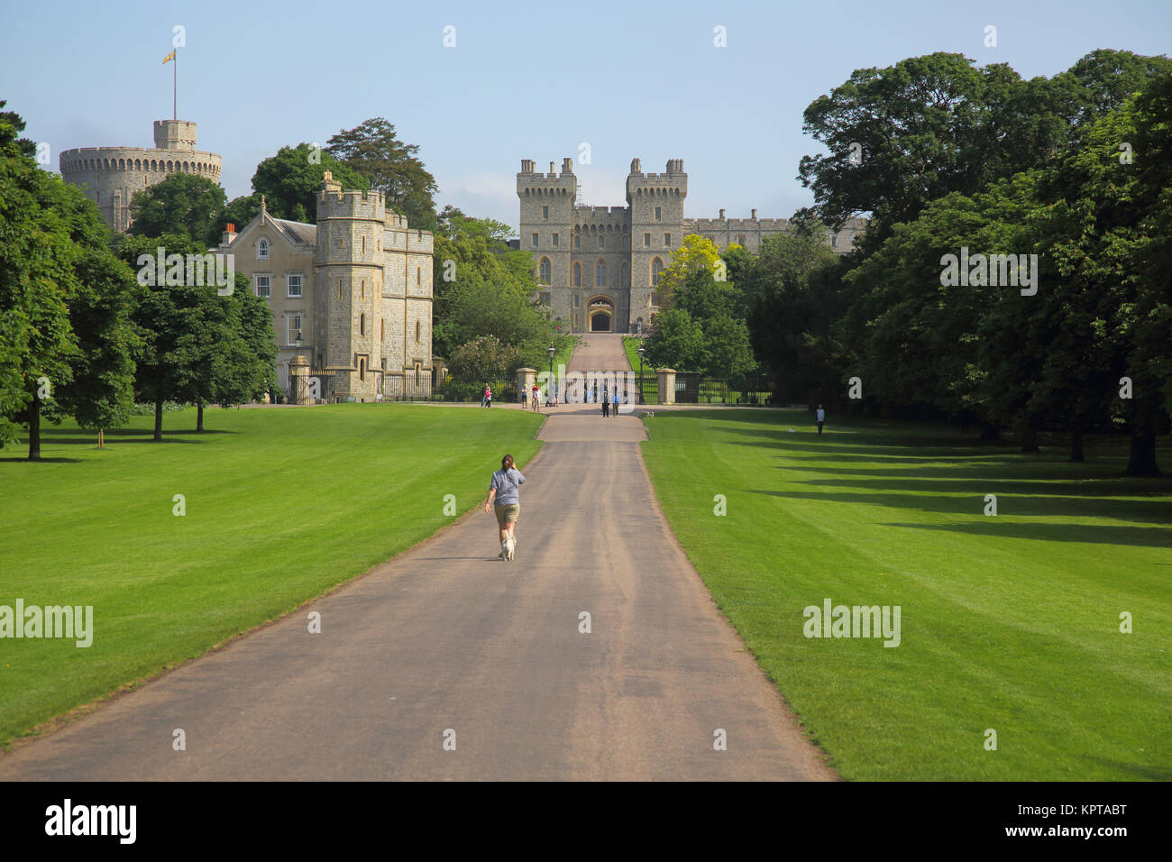 windsor castle and the long walk in windsor great park Stock Photo - Alamy