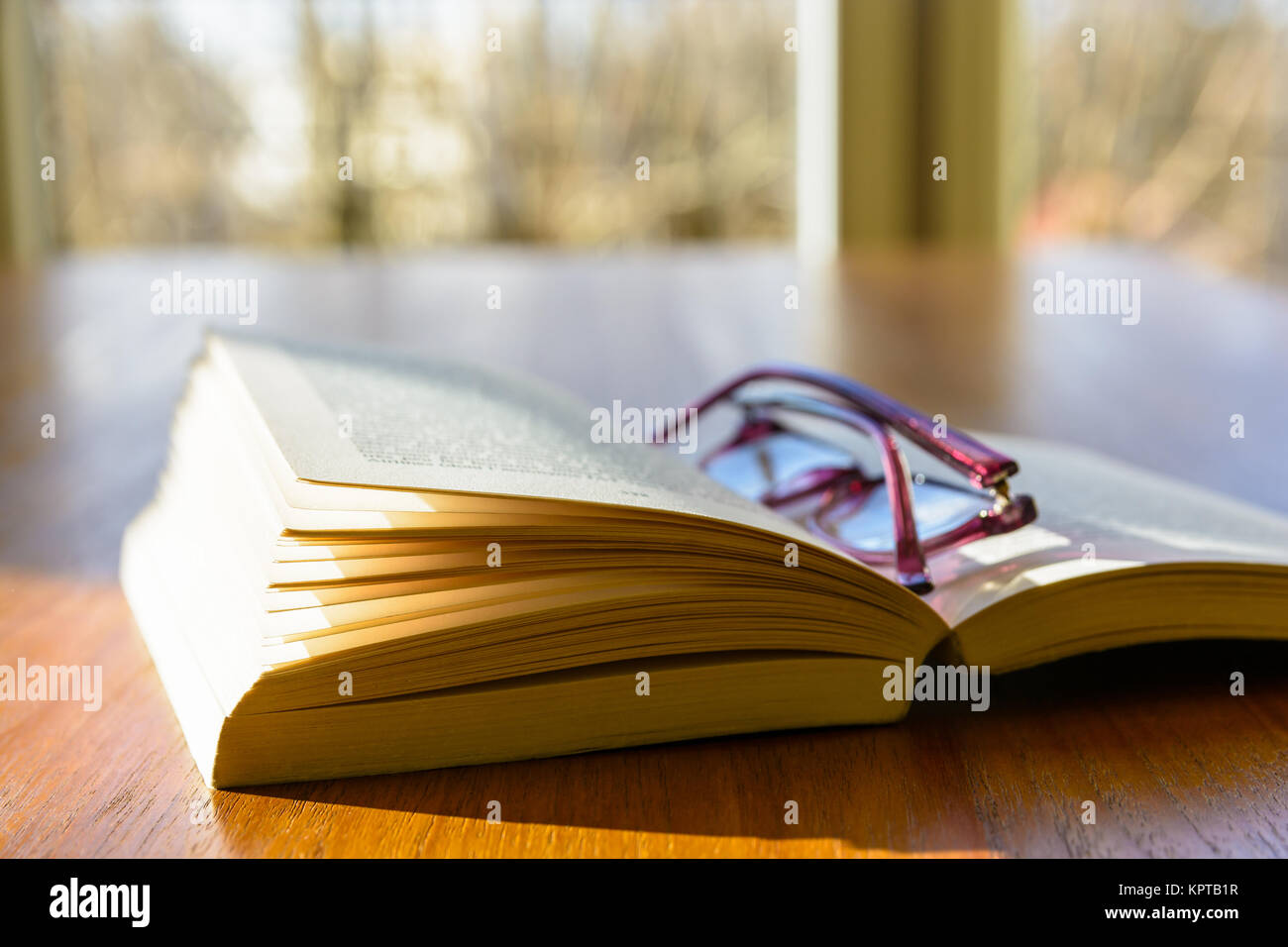Closeup paperback reading book hi-res stock photography and images - Alamy
