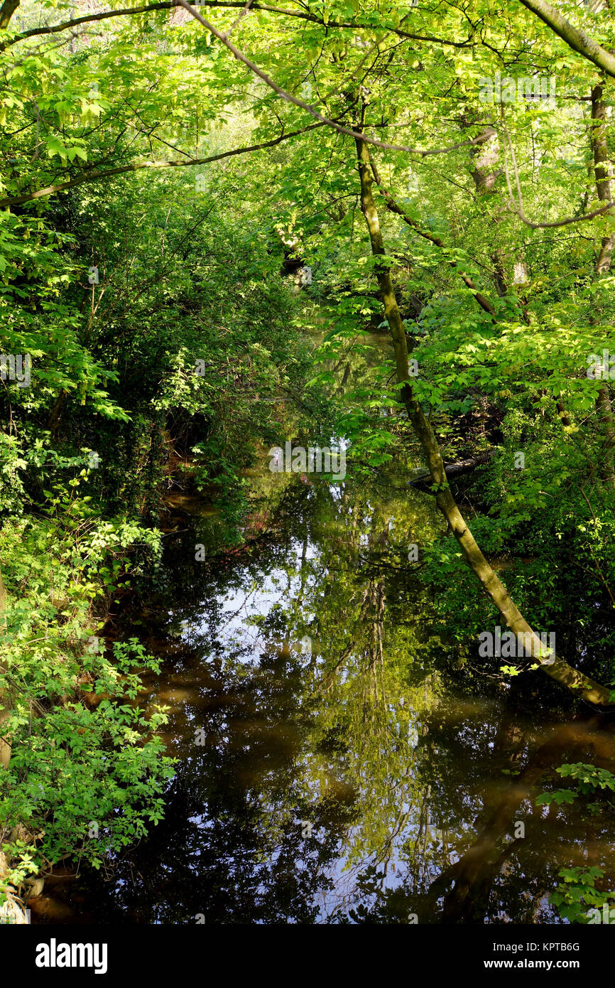 Dussel fluss hi-res stock photography and images - Alamy