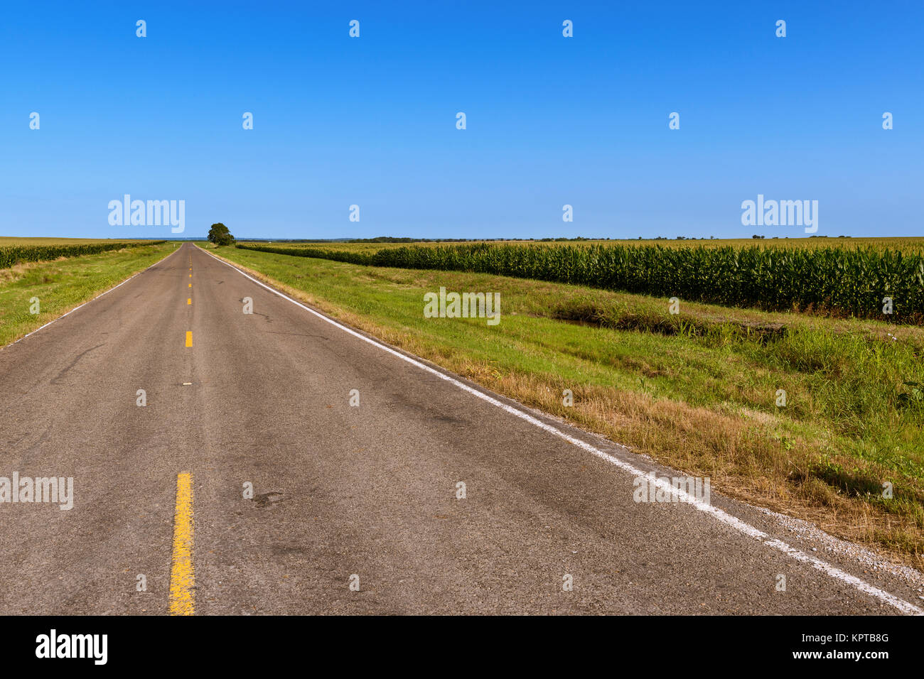 Long empty country road in rural Texas along a cornfield; Concept for ...
