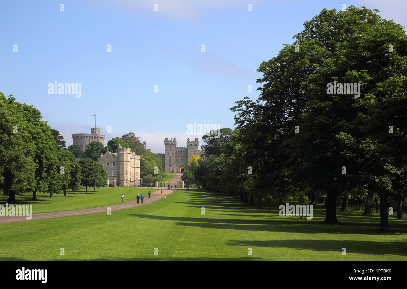 windsor castle and the long walk in windsor great park Stock Photo - Alamy
