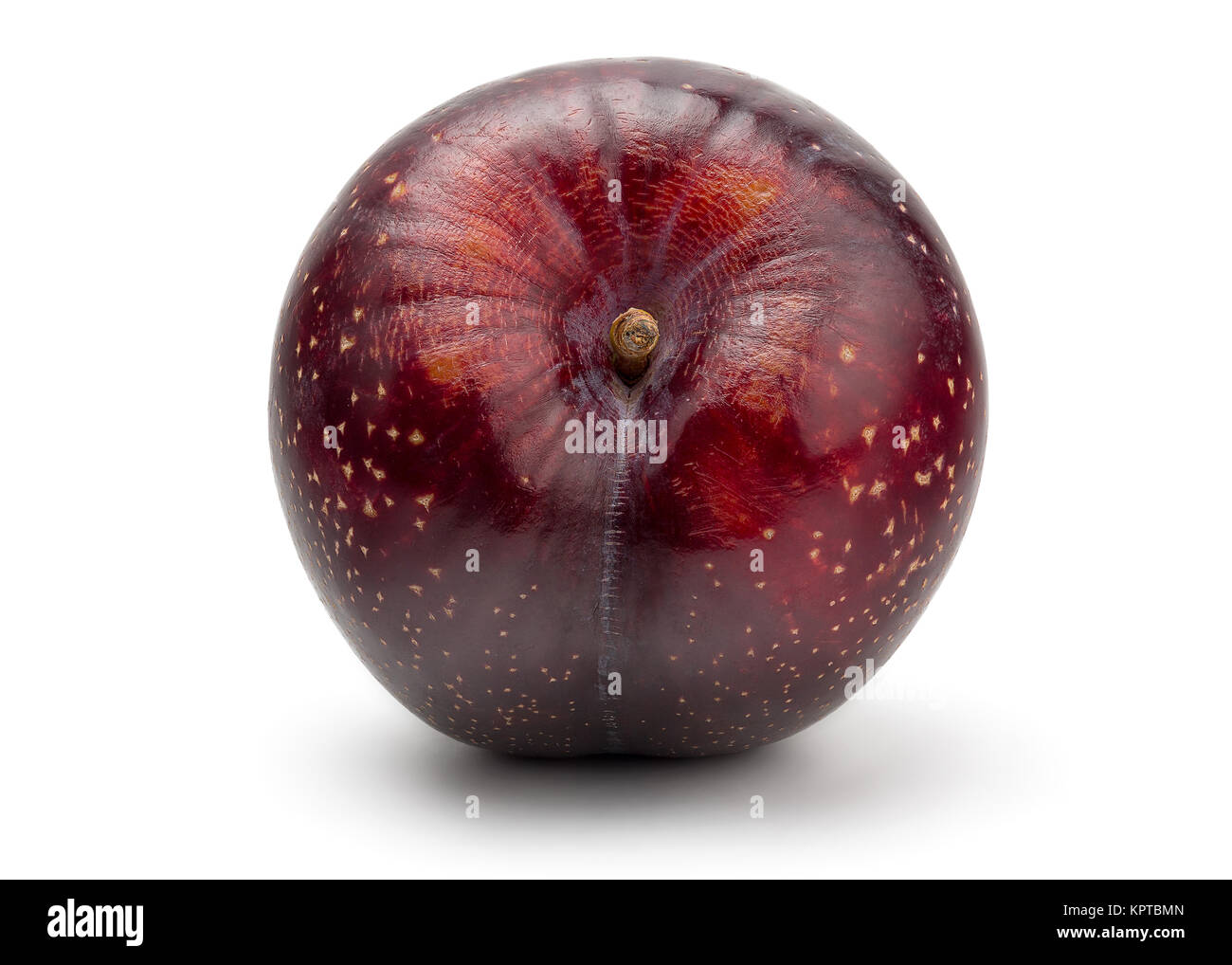 Perfect Fresh Red Plum Isolated on White Background in Full Depth of ...