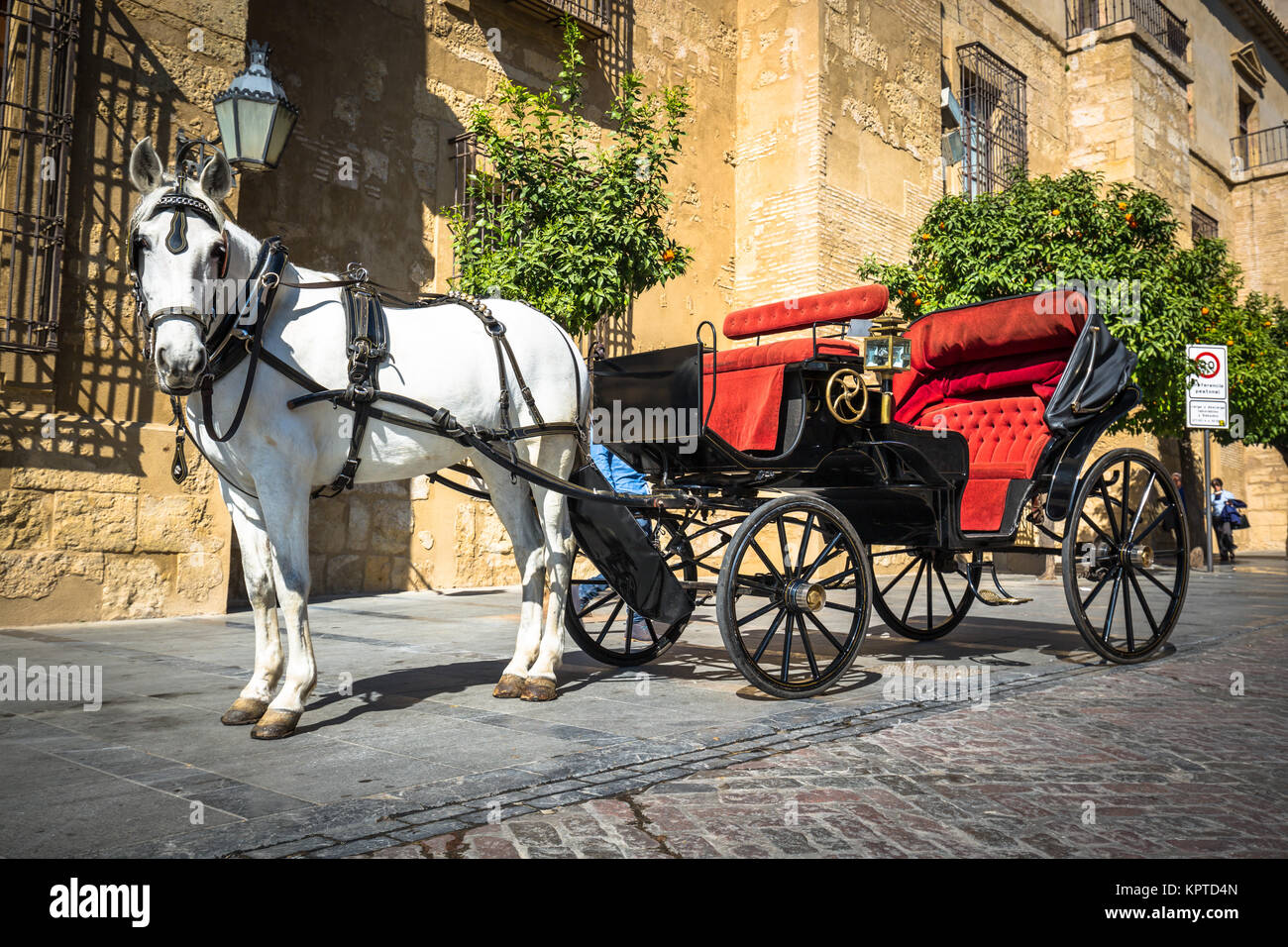 Traditional Horse and Cart at Cordoba Spain - travel background Stock ...