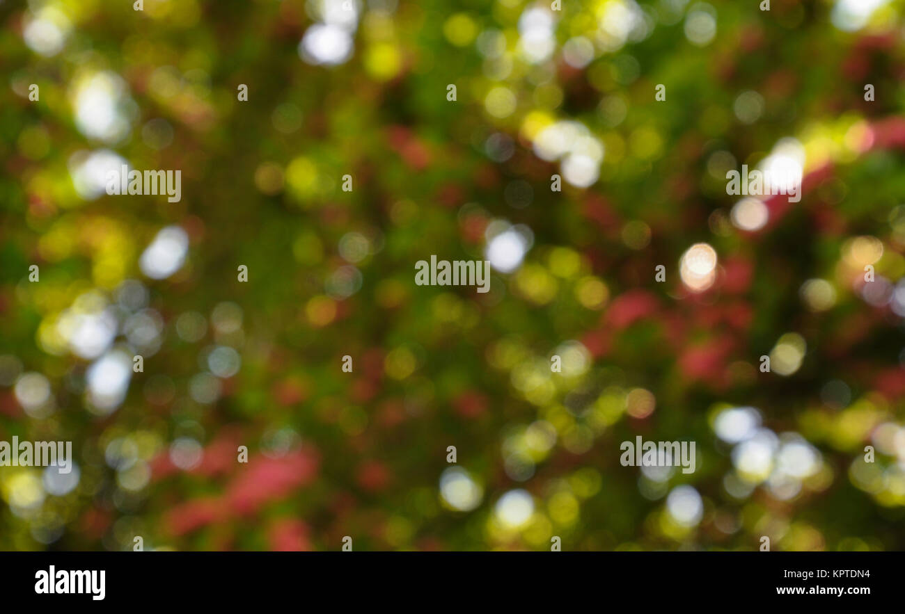Coloured bokeh small predominance of green color Stock Photo - Alamy