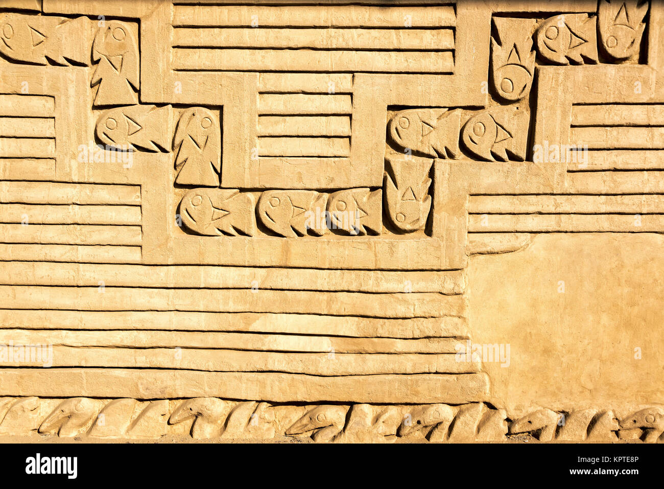 Fish and birds in the ancient ruins of Chan Chan in Trujillo, Peru ...
