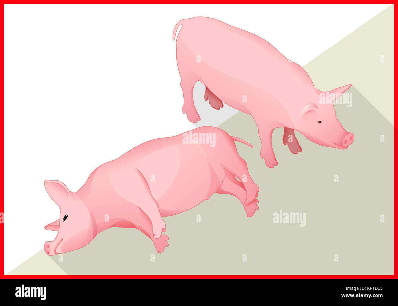 Pig isometric flat vector 3d illustration. Swine icon Stock Photo - Alamy