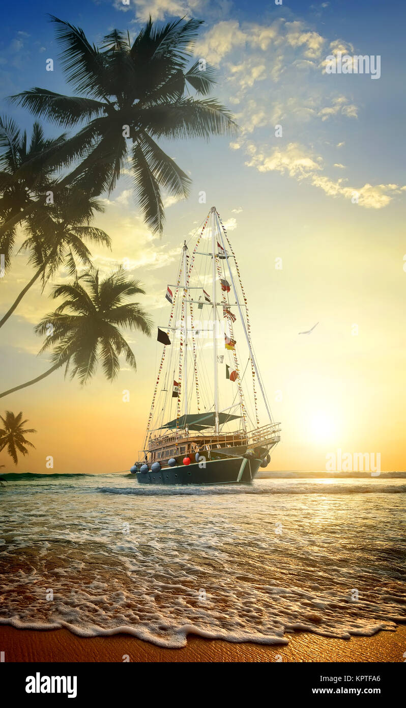 Beautiful ship in ocean near coast with palm trees Stock Photo - Alamy