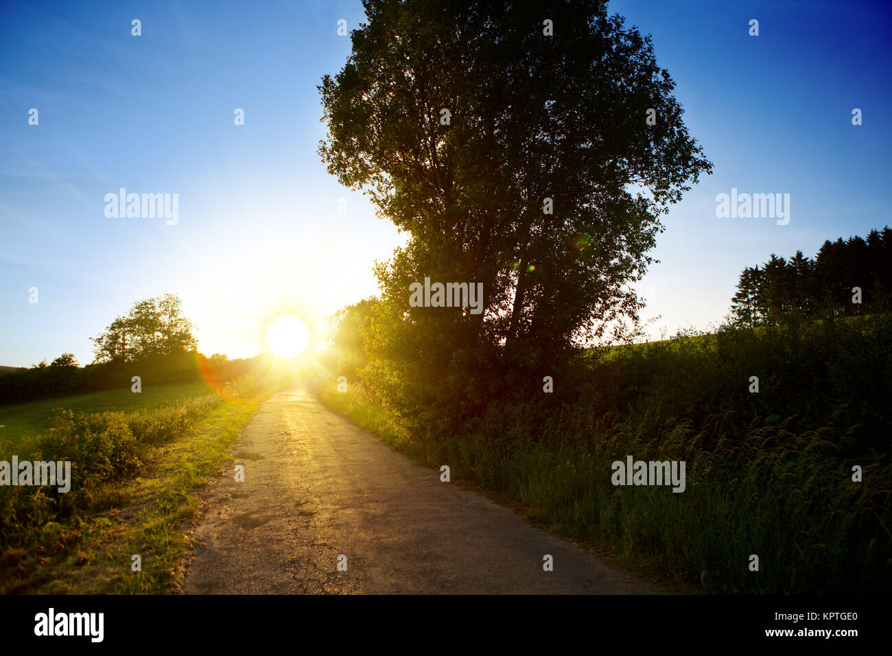 Sunset in German summer landscape.Colorful summer sunset and trees ...