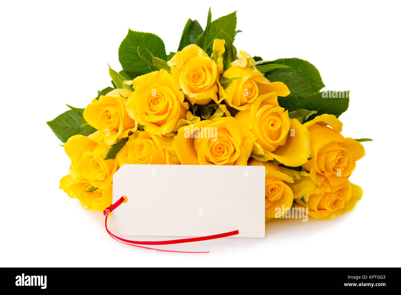 Yellow rose bouquet isolated on white background and card for text ...