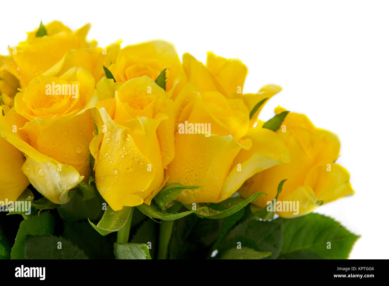 Yellow rose bouquet isolated on white background Stock Photo - Alamy