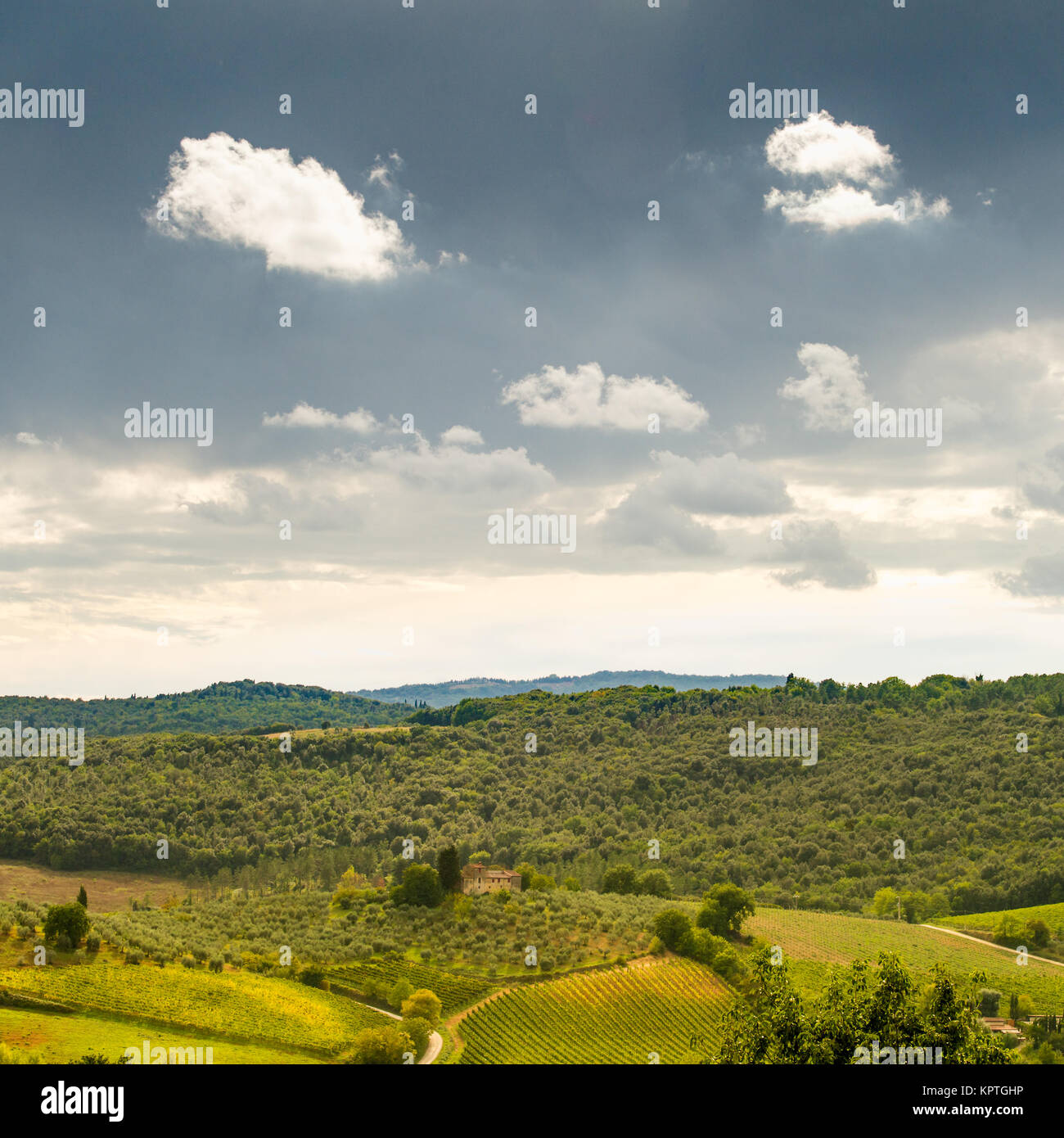 Fields in Tuscany Stock Photo - Alamy