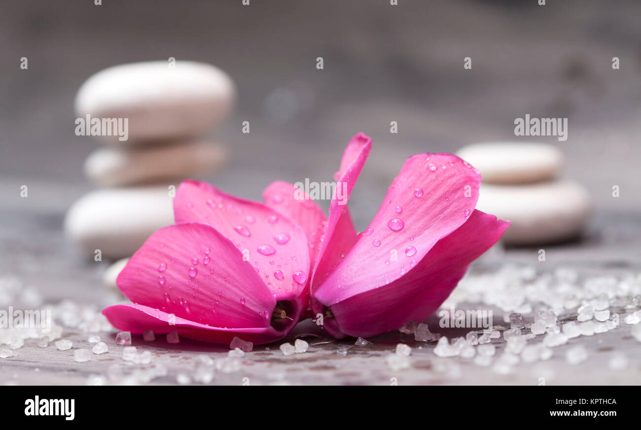 White zen stones on painted background Stock Photo - Alamy