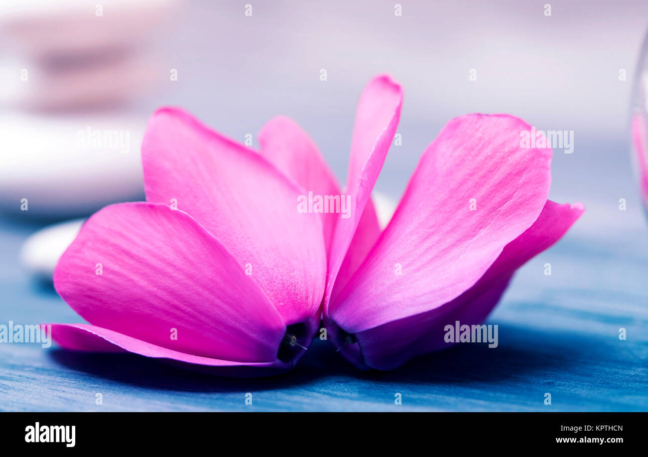 White zen stones on painted background Stock Photo - Alamy