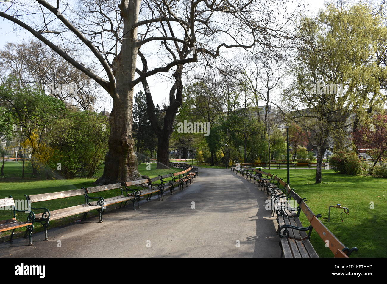 vienna,city hall park,park,path,vienna's ringstrasse,bank,trees,meadow ...