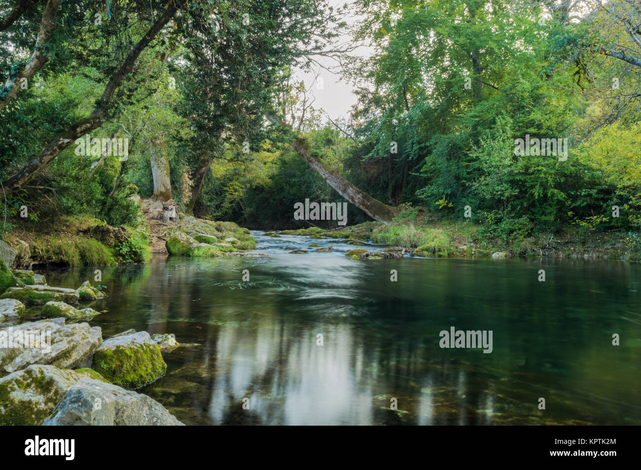 Stream Running Through the Forest Stock Photo - Alamy