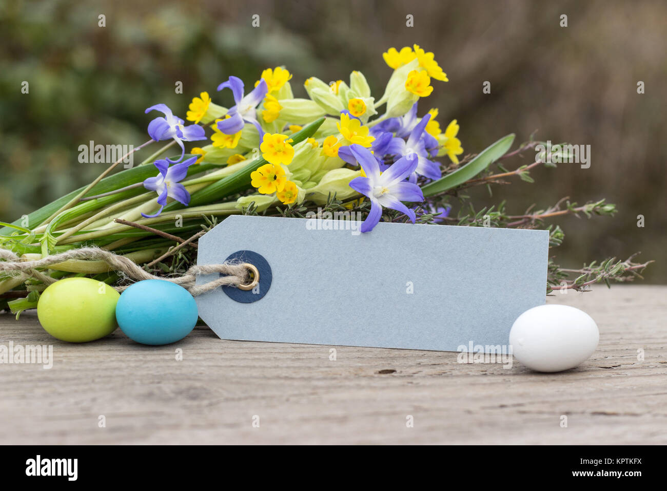 Spring flowers with Easter eggs and card Stock Photo - Alamy