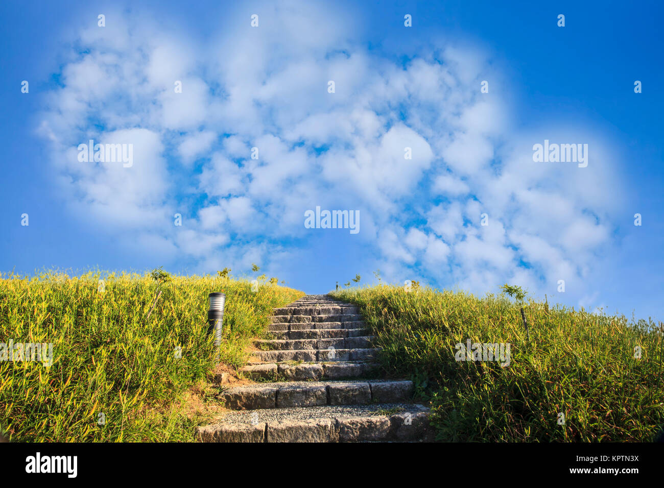 beautiful landscape with nice background color Stock Photo - Alamy