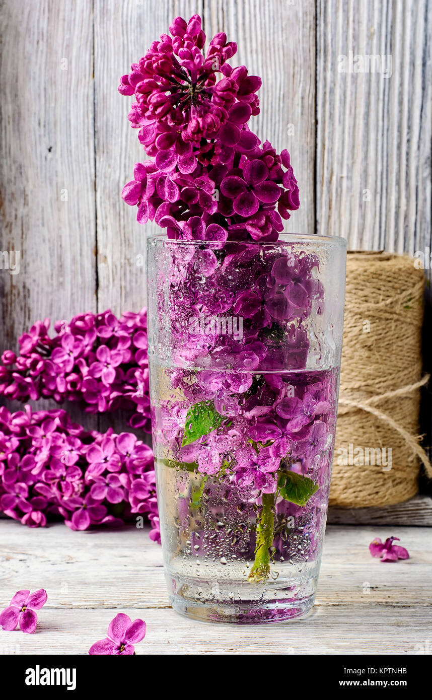 inflorescence may lilacs in a glass vase with water Stock Photo - Alamy