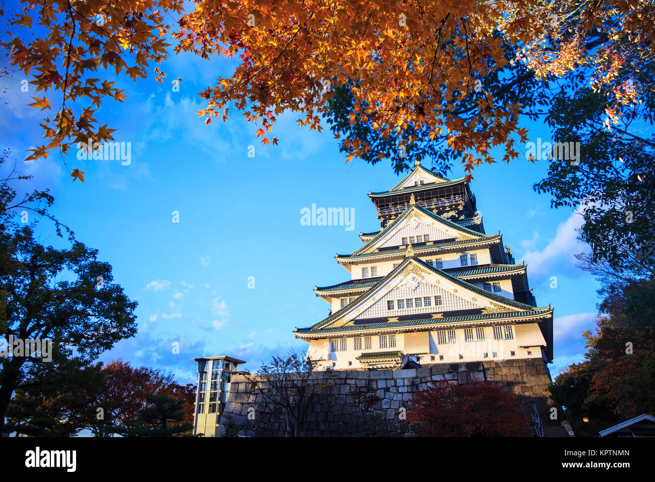 The beautiful Osaka Castle with nice background color Stock Photo - Alamy