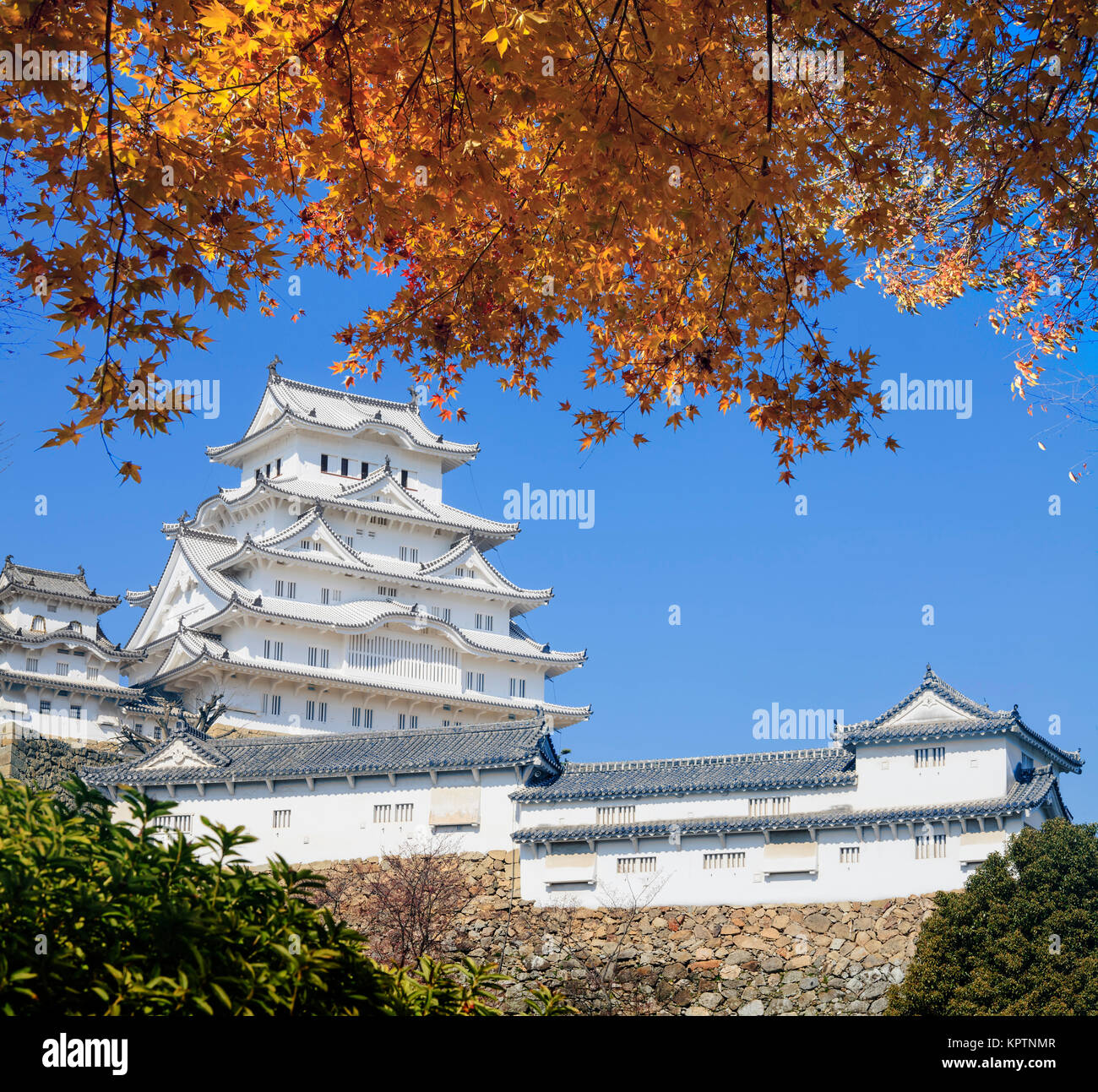 The beautiful Himeji Castle druing the fall season with nice color ...