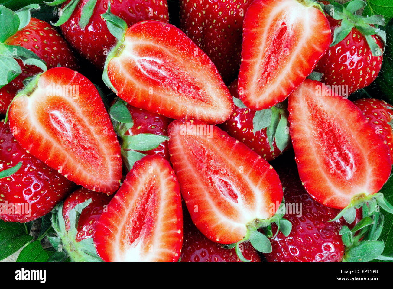Picture of beautiful and fragrant fresh strawberries freshly picked ...