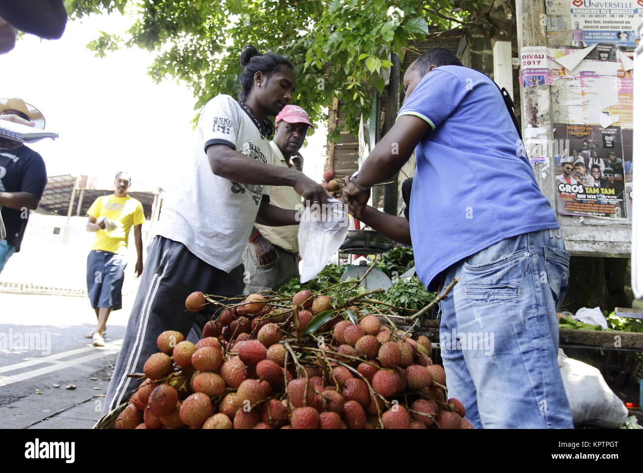 Lychee is the sole member of the genus Litchi in the soapberry family ...