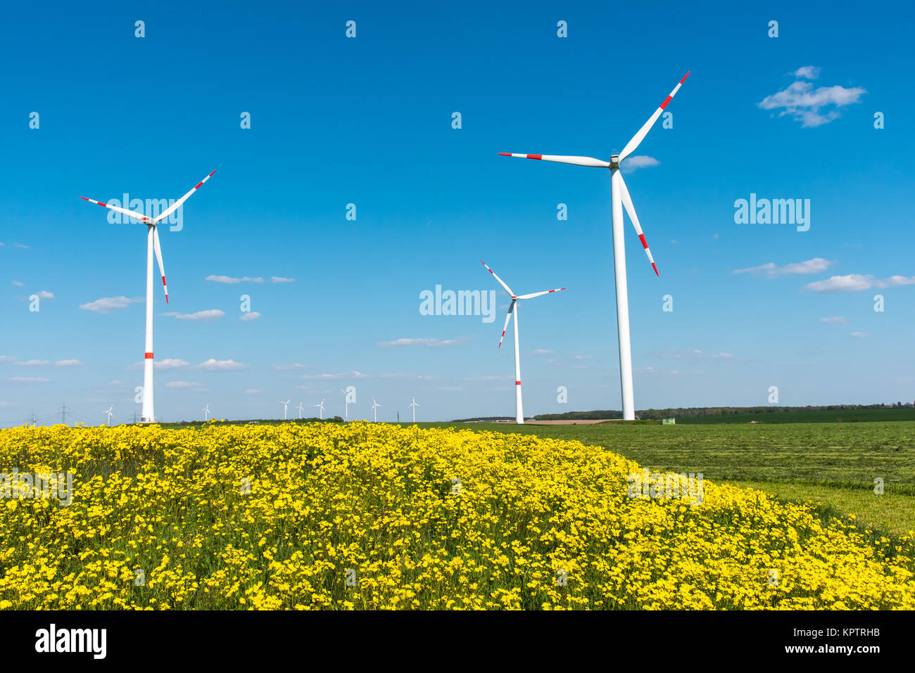 wind turbines and yellow flowers in germany Stock Photo - Alamy