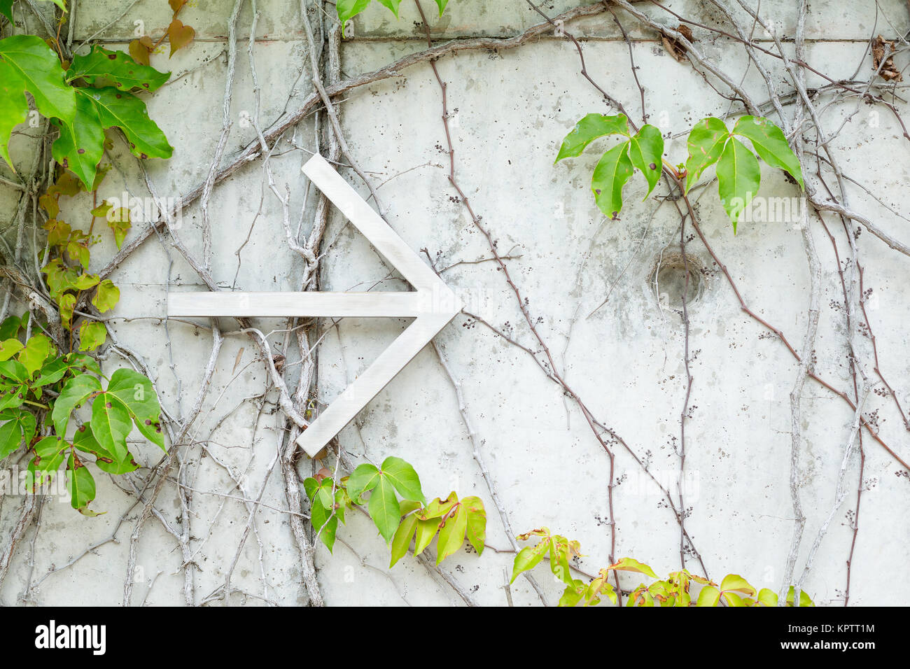Arrow over ivy leaves background Stock Photo - Alamy