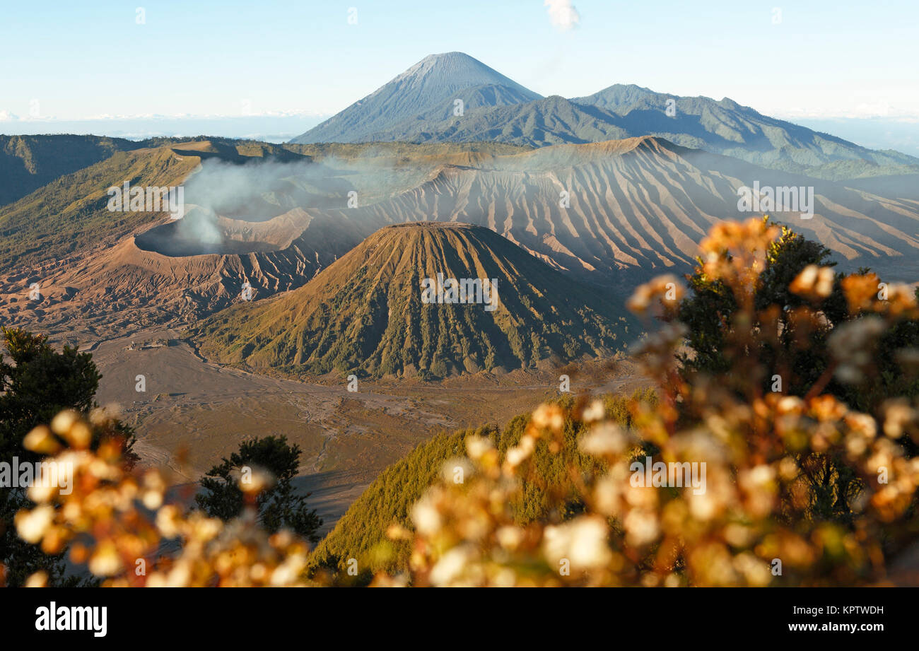 Bromo, Batok and Semeru volcanoes, Bromo-Tengger-Semeru National Park ...
