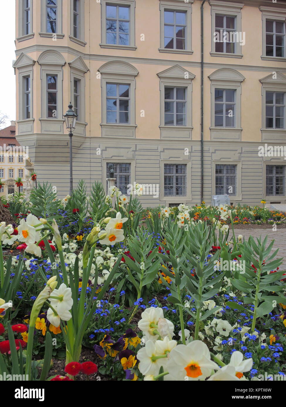 Variety of flowers in front of old houses Stock Photo - Alamy