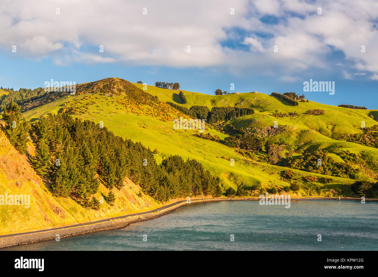 New Zealand Otago Region coastal landscape Stock Photo - Alamy