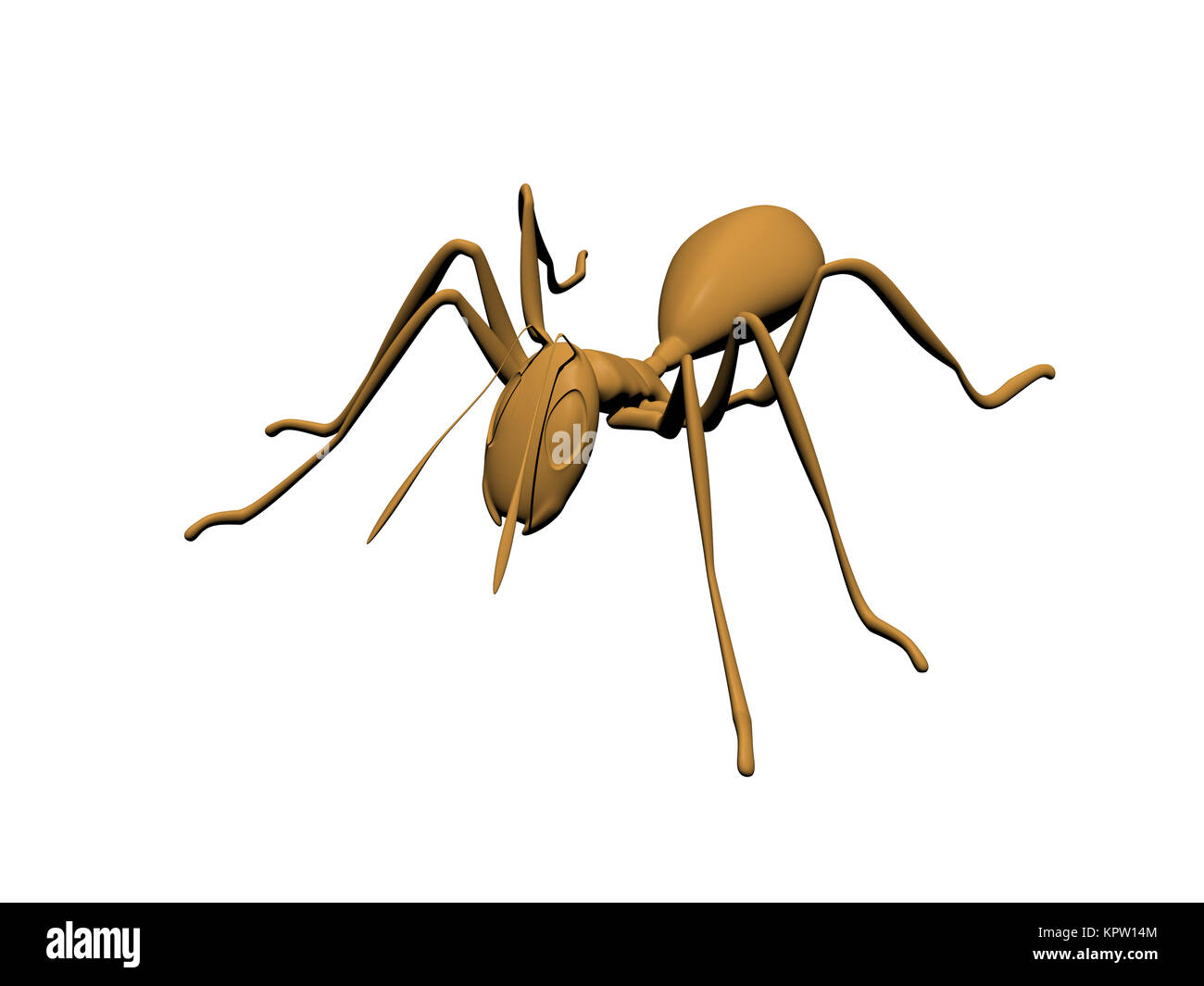 ant crawler animal isolated Stock Photo - Alamy