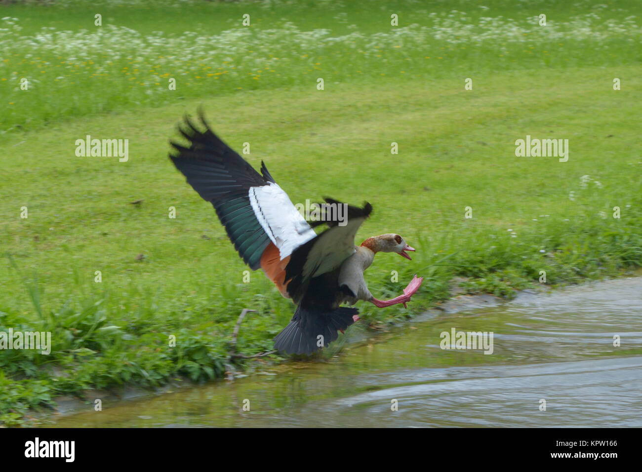 In rage hi-res stock photography and images - Alamy