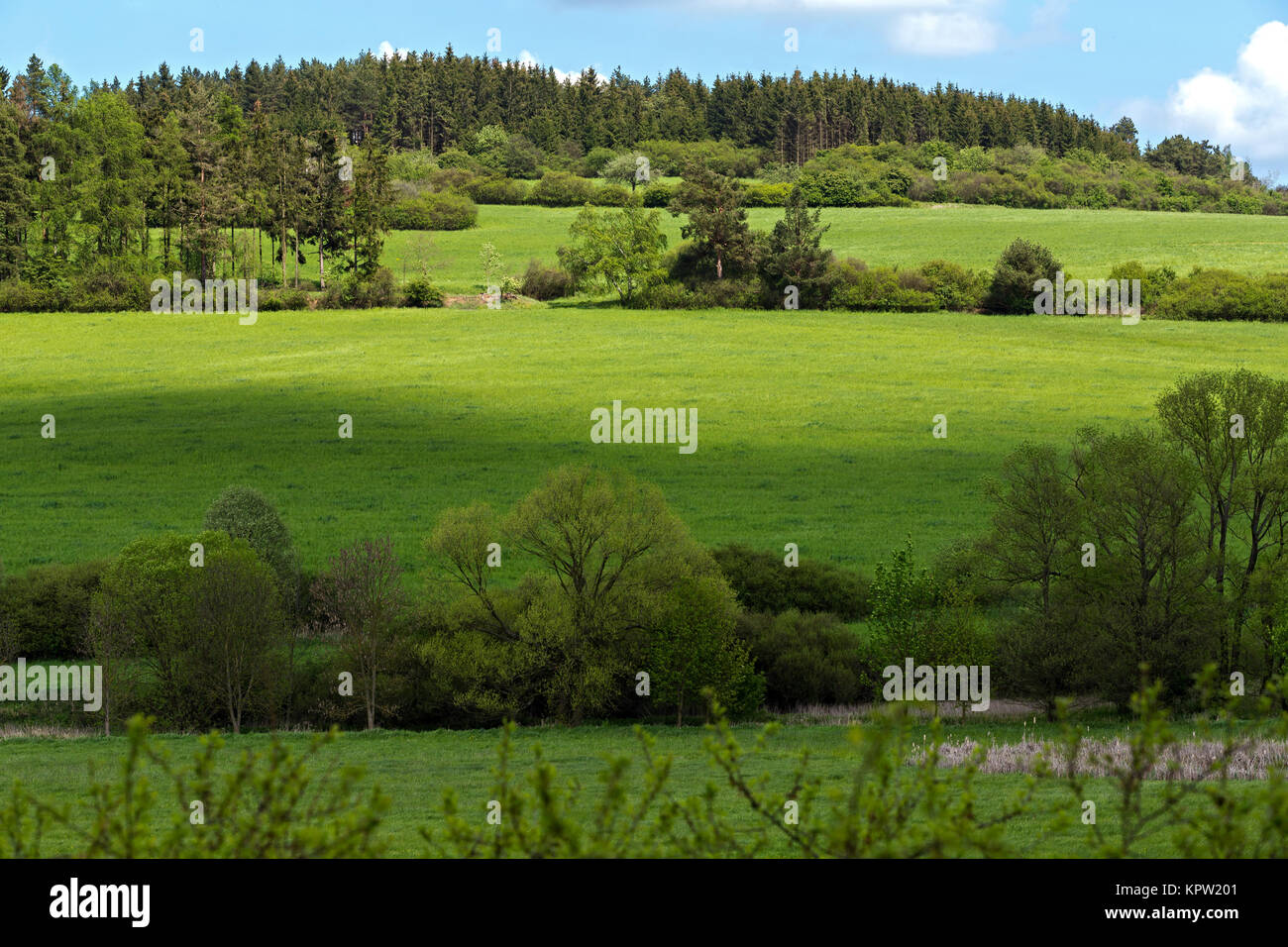 Beautiful summer rural landscape Stock Photo - Alamy