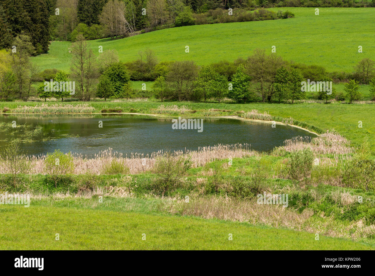 Beautiful summer rural landscape Stock Photo - Alamy