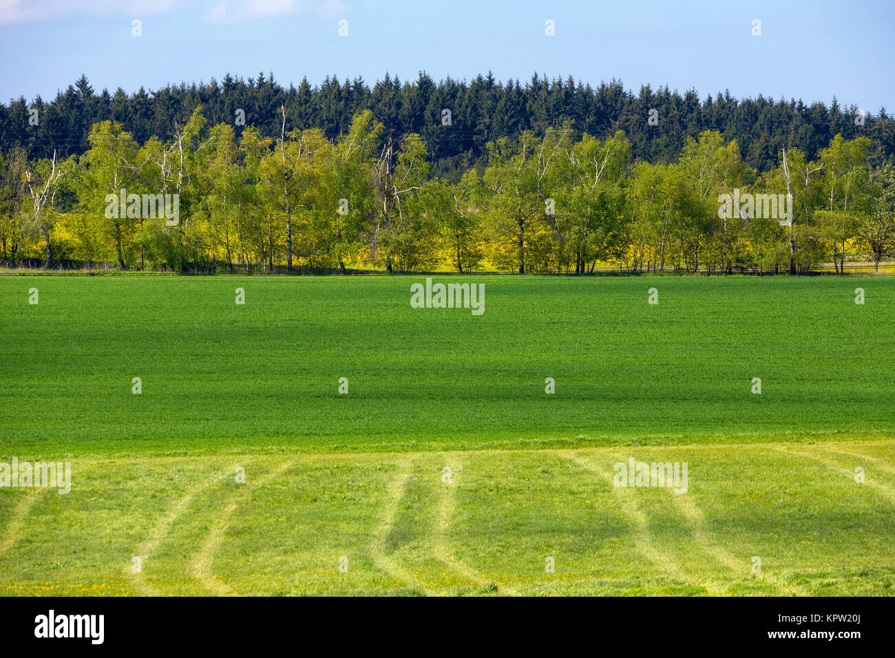 Beautiful summer rural landscape Stock Photo - Alamy