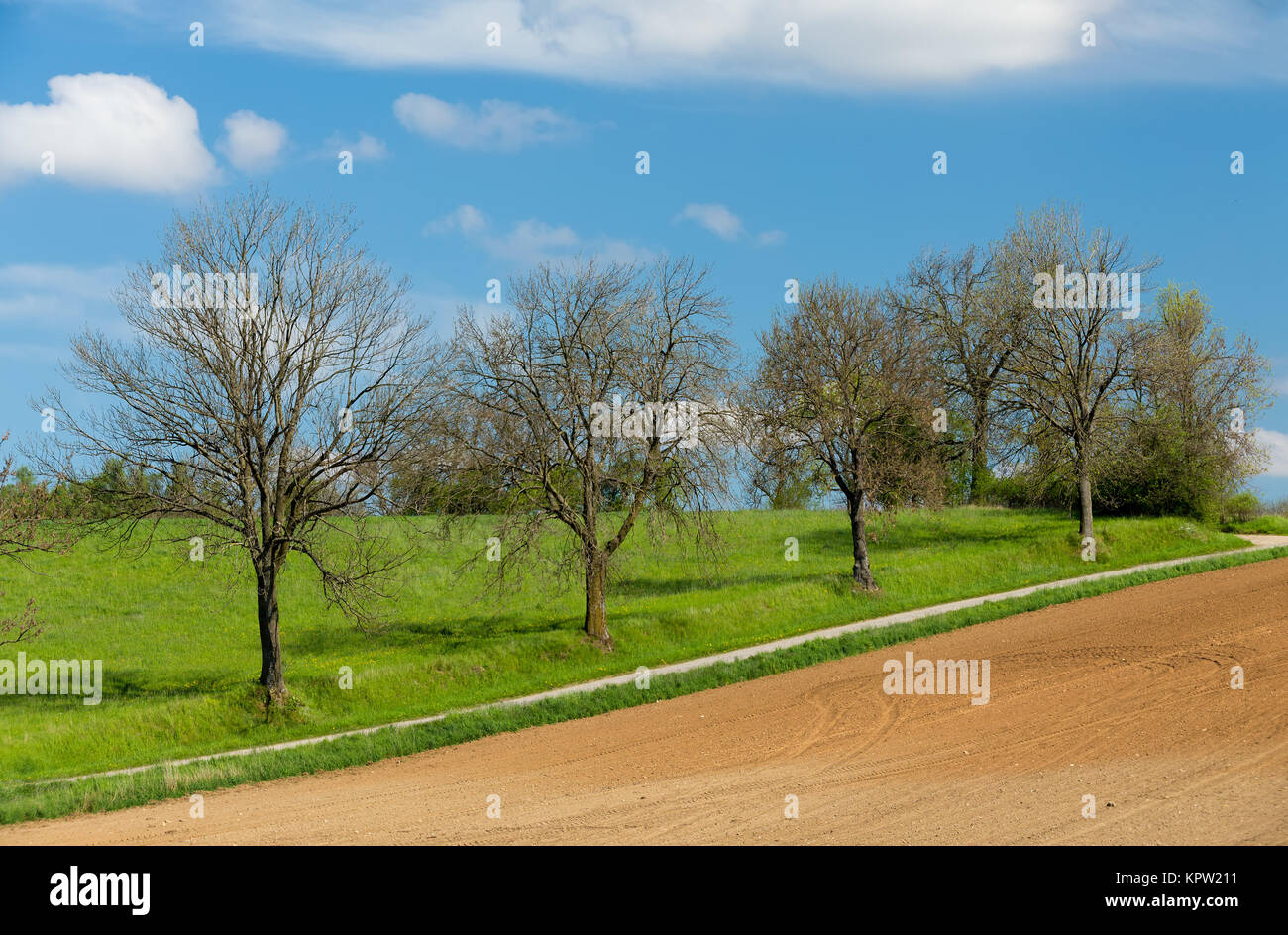 Beautiful summer rural landscape Stock Photo - Alamy