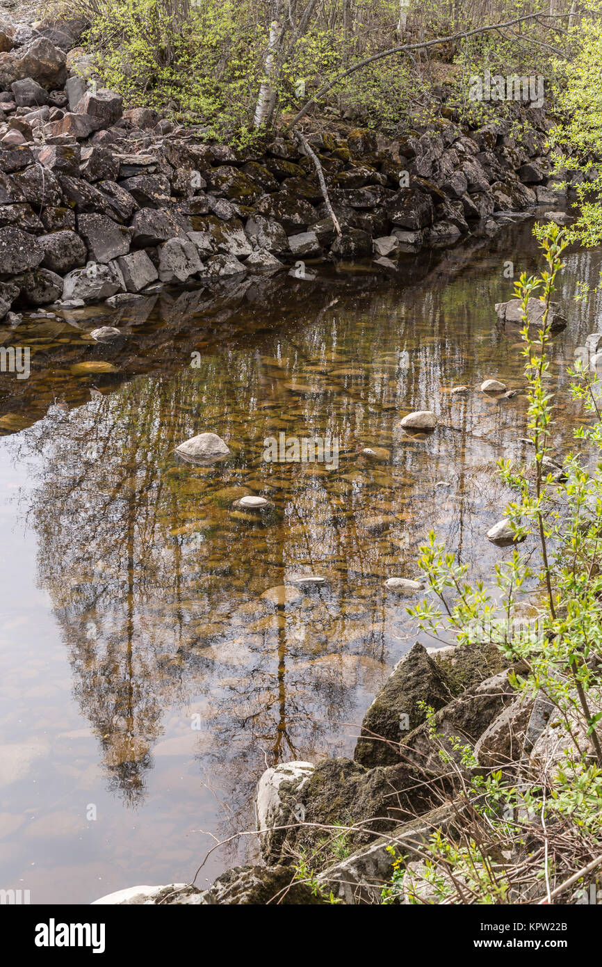 Trees Reflecting in Water Stock Photo - Alamy