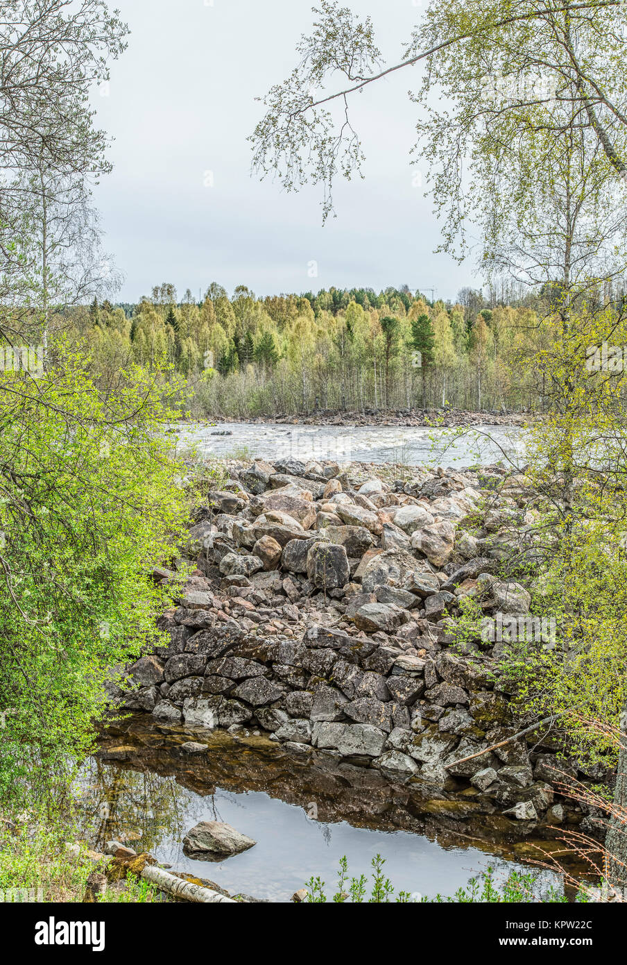 Umea River in Baggbole, Sweden Stock Photo - Alamy