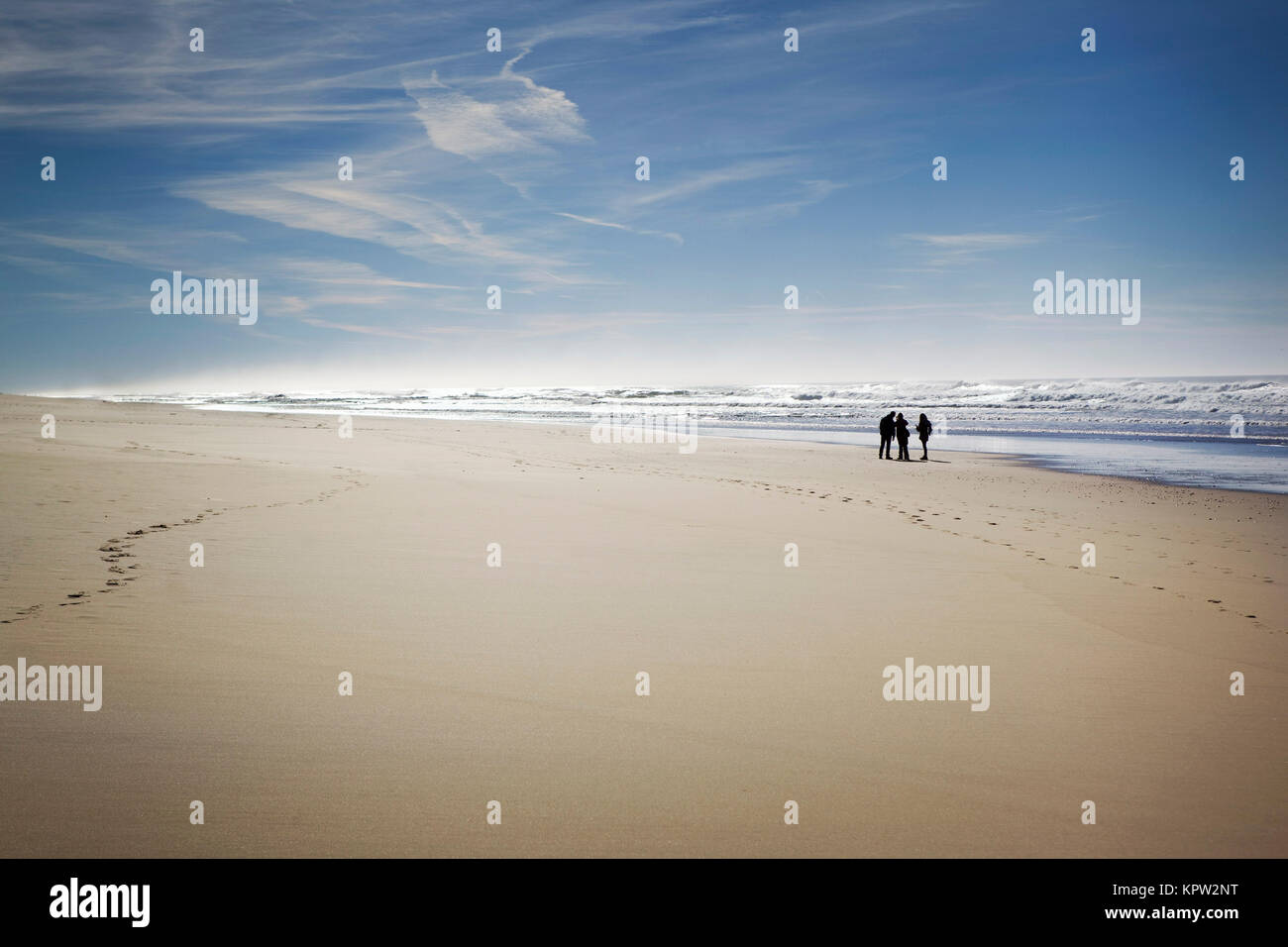 Silhouettes on the beach Stock Photo - Alamy