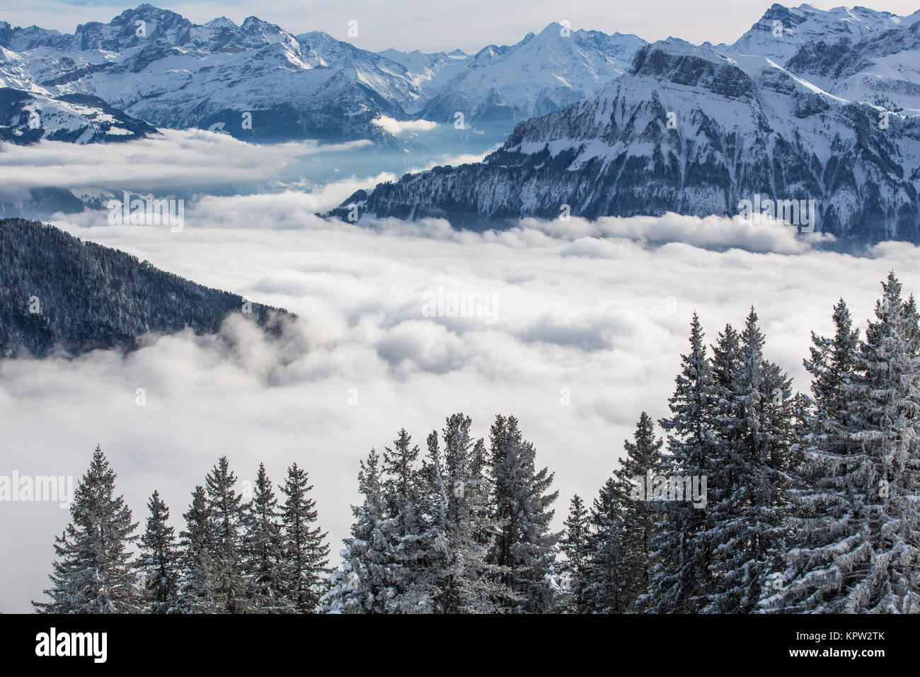 Splendid winter alpine scenery with high mountains and trees covered ...