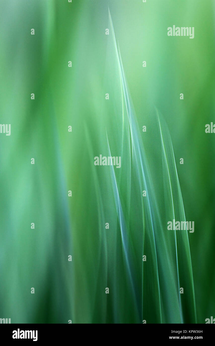 Green edge lines hi-res stock photography and images - Alamy