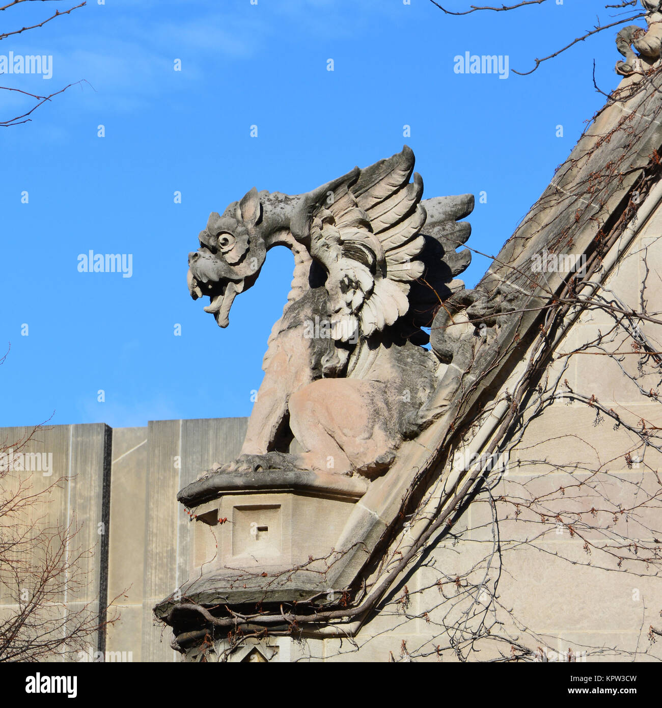 Close up of a grotesque perched on the Cobb Gate at the University of ...