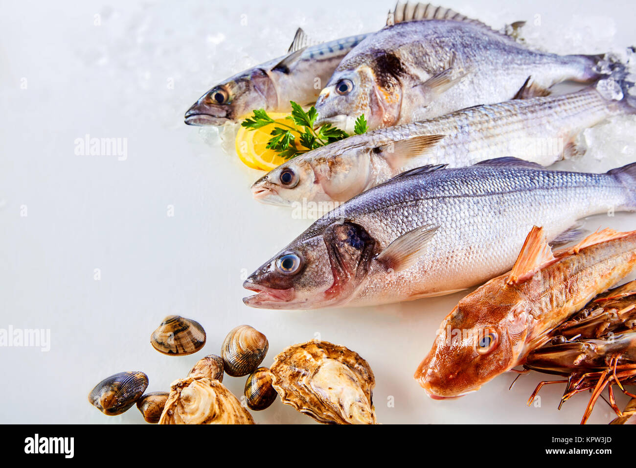 High Angle Still Life View of Fresh Raw Fish, Shellfish and Seafood ...