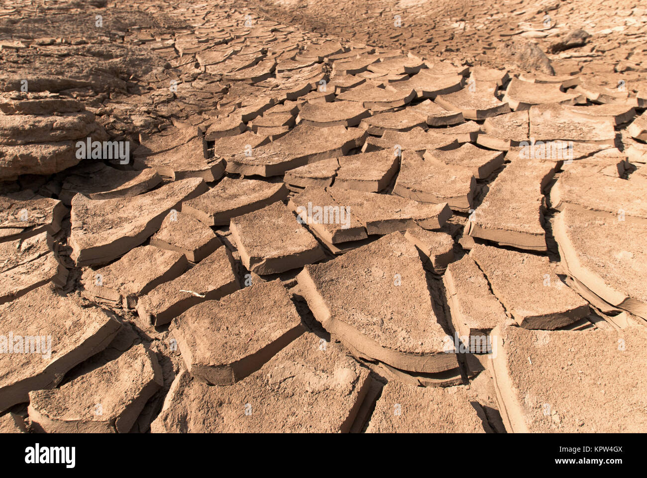 Cracked dry land without water Stock Photo - Alamy