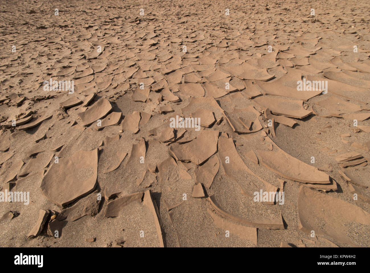 Cracked dry land without water Stock Photo - Alamy