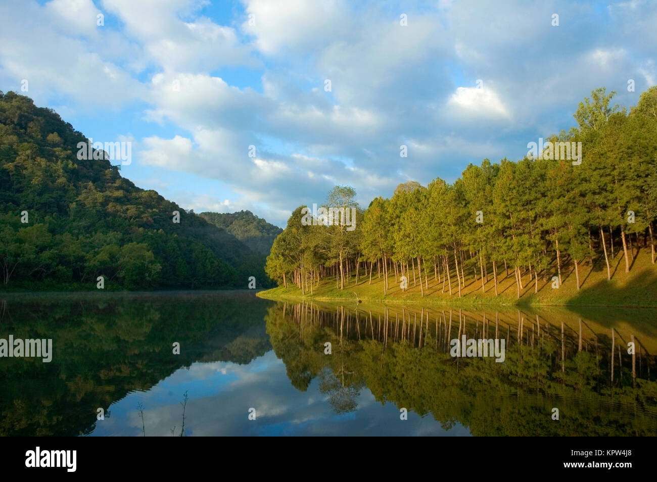 pang ung , reflection of pine tree in a lake , meahongson , Thailand ...
