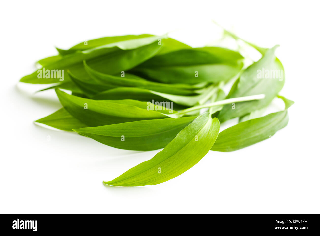 Fresh ramsons leaves Stock Photo - Alamy