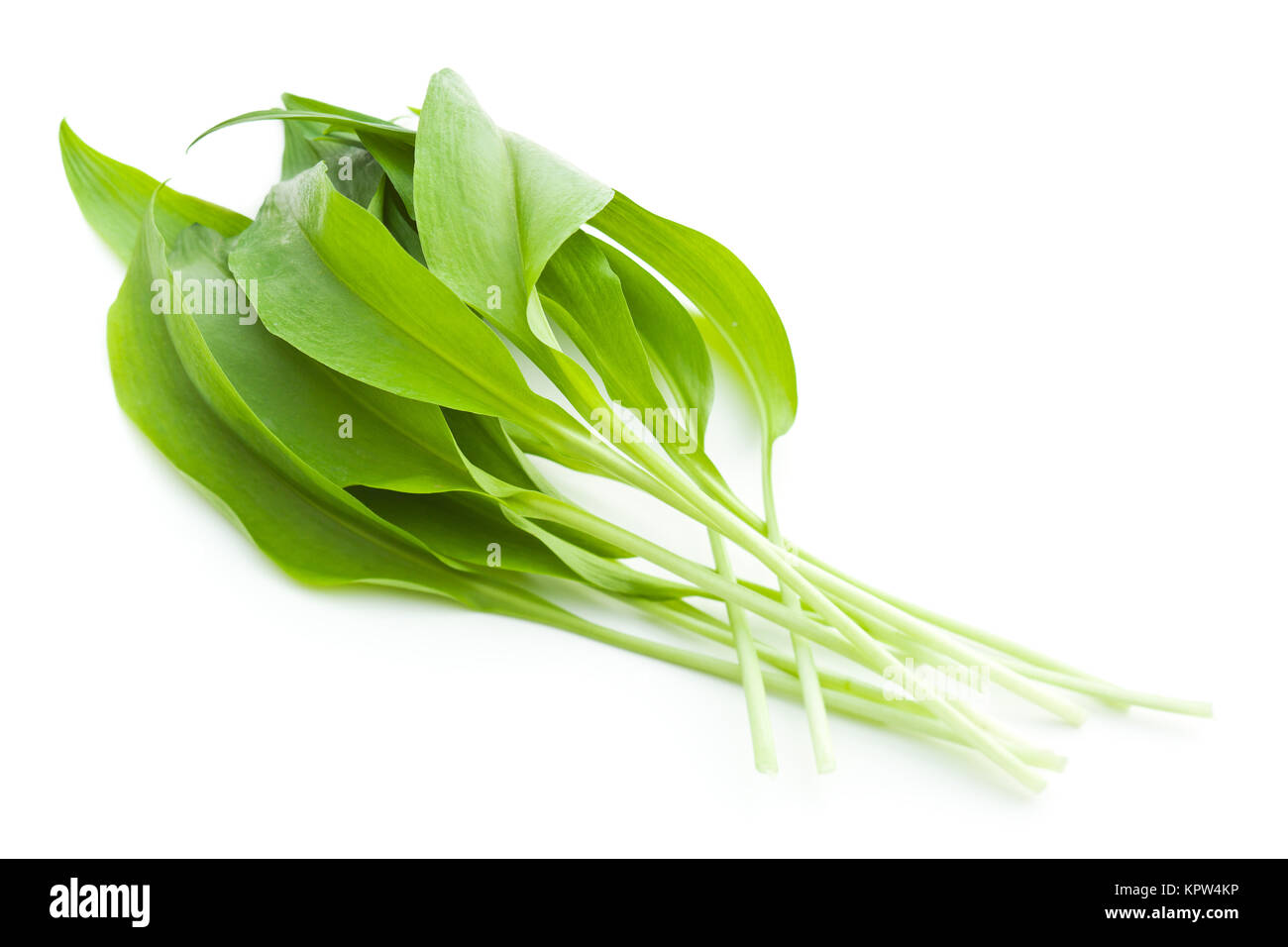 Fresh ramsons leaves Stock Photo - Alamy